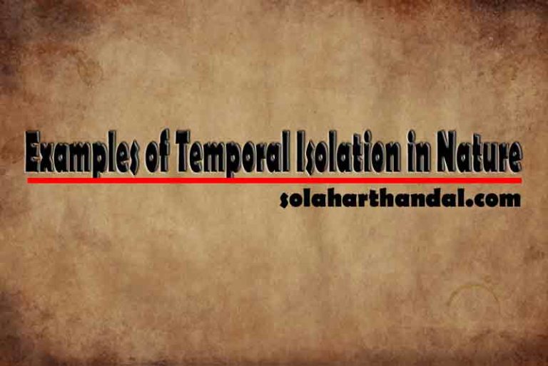Examples of Temporal Isolation in Nature - Solahart Handal