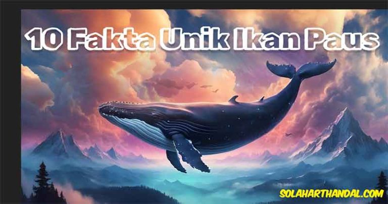Fakta Menarik tentang Ikan Paus yang Mungkin Belum Kamu Tahu - Solahart Handal